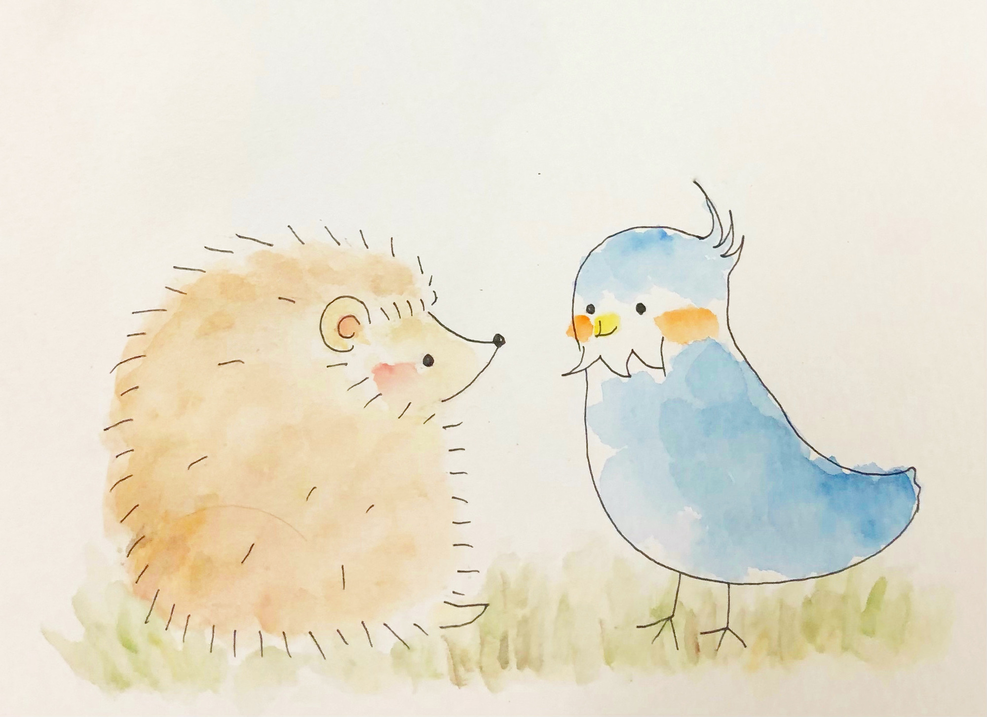 春川ハル。 | OFUSE (オフセ)