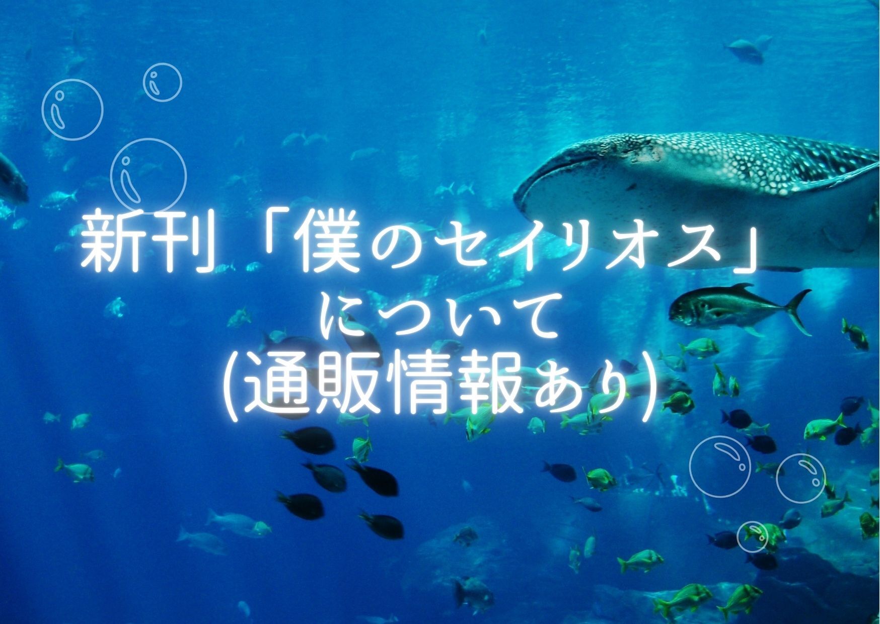 新刊「僕のセイリオス」について(通販情報あり) | 朝本箍 | OFUSE (オフセ)