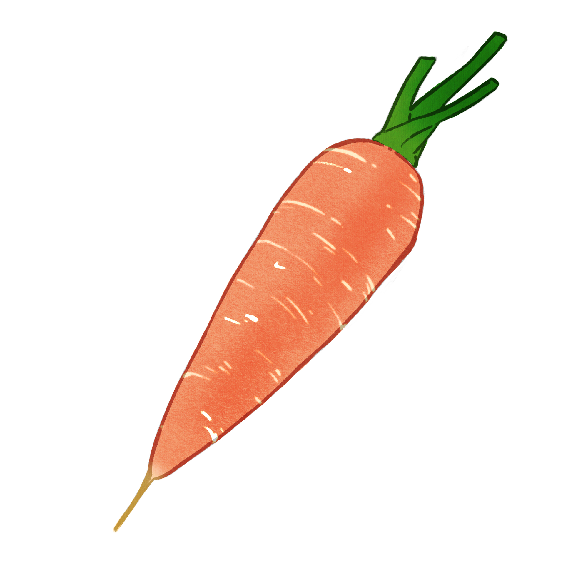 ニンジン イラスト素材メイキング | トネリコ＠舎人子の木 | OFUSE (オフセ)