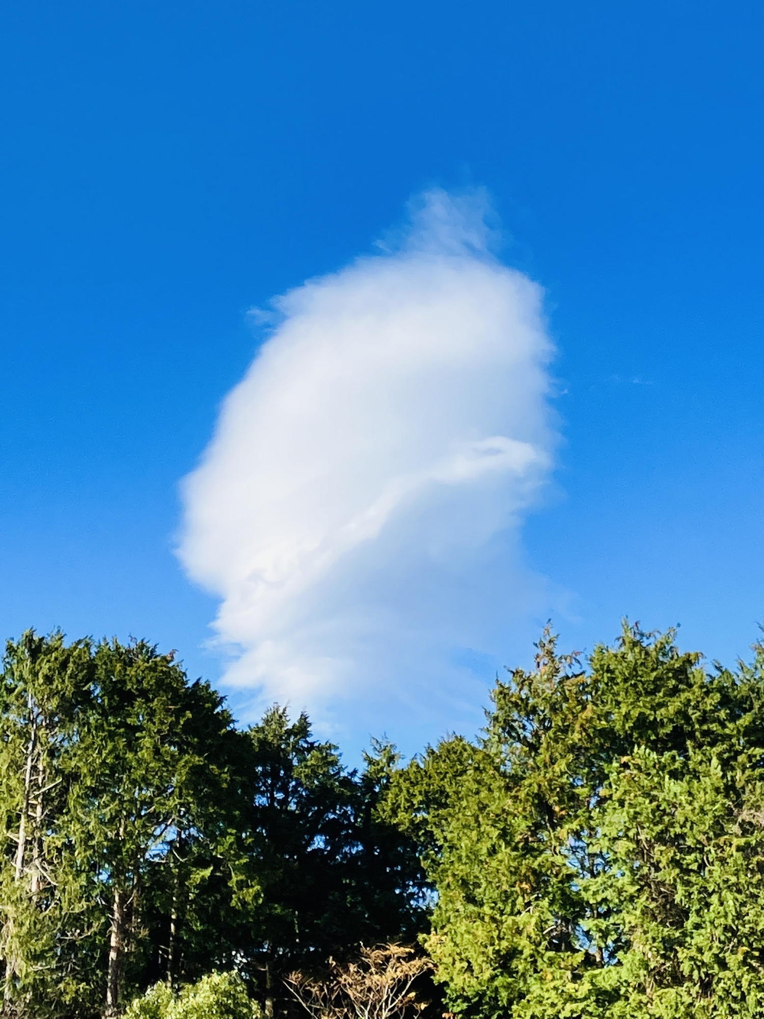 いい事があった | るんぺんパリ【RunPenParis】 | OFUSE (オフセ)