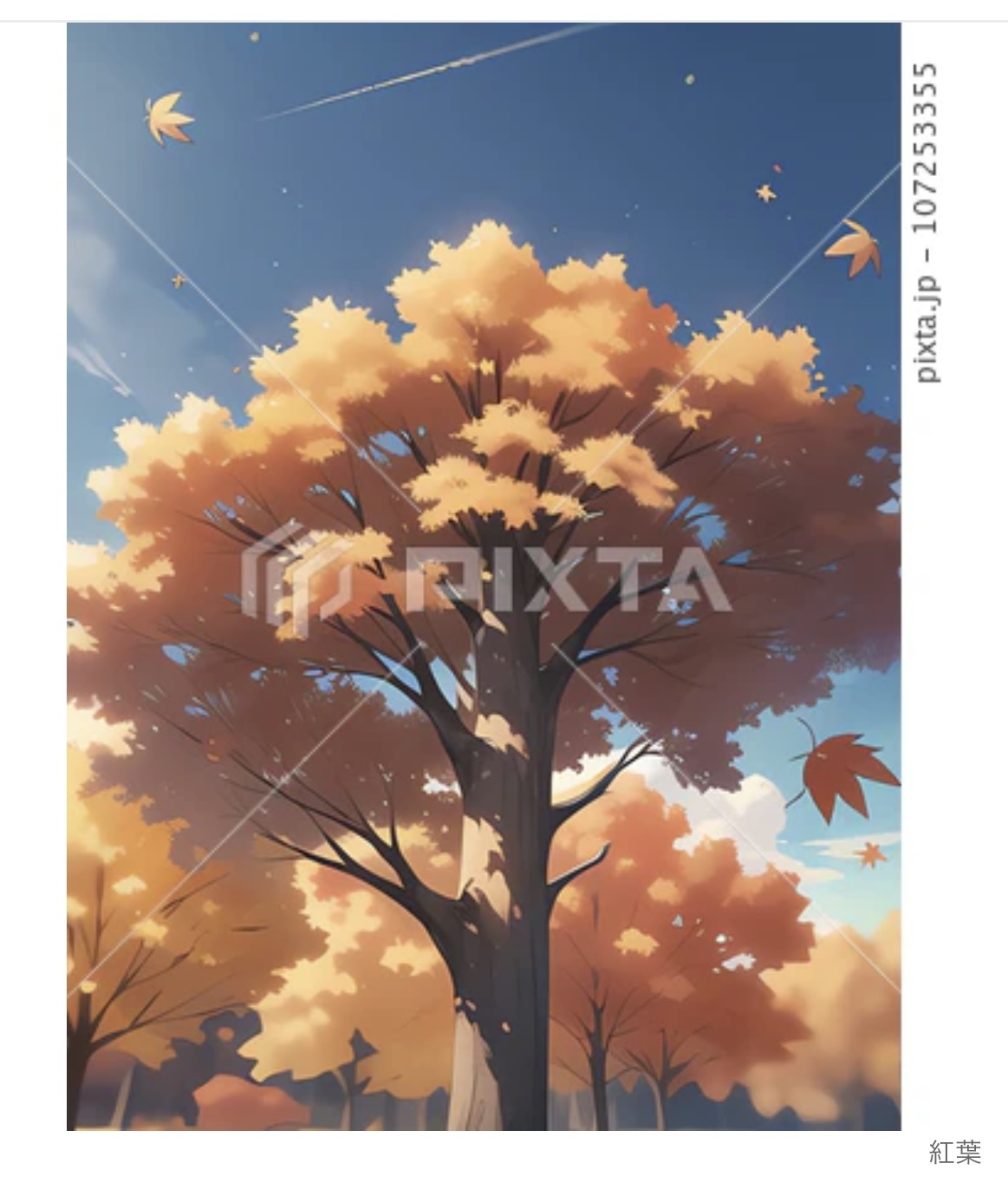 紅葉 | gawo | OFUSE (オフセ)