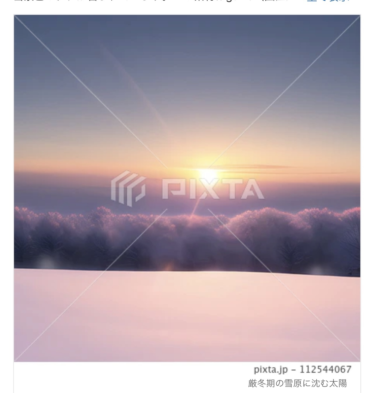 夜に咲く/他 | gawo | OFUSE (オフセ)