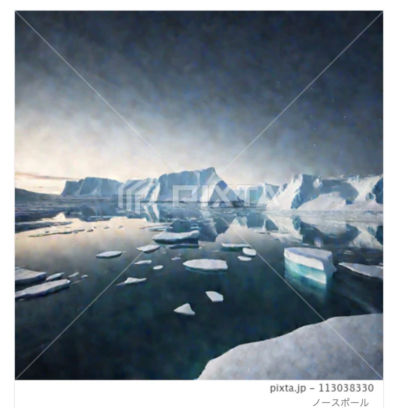 ノースポール/他 | gawo | OFUSE (オフセ)