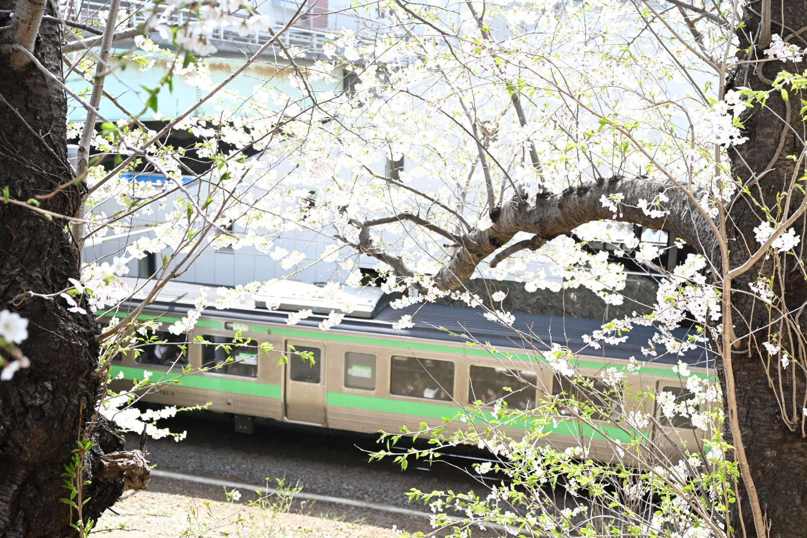 てらこ | OFUSE (オフセ)