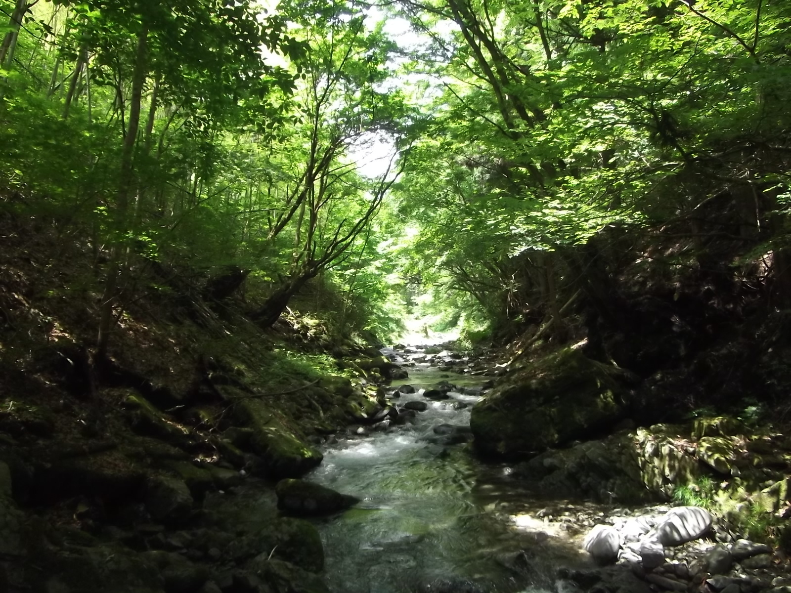 秋川渓谷 | ひばりの | OFUSE (オフセ)